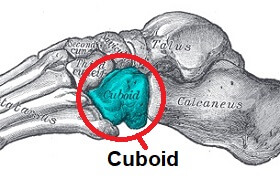 Cuboid Bone Sharp Pains