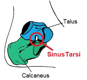 Pain on Top of Foot: Causes, Symptoms & Treatment