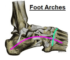 Foot Arch Pain On The Bottom Of The Foot