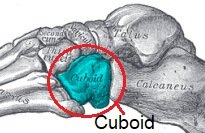 Pain On Outside Of Foot: Symptoms, Diagnosis & Treatment