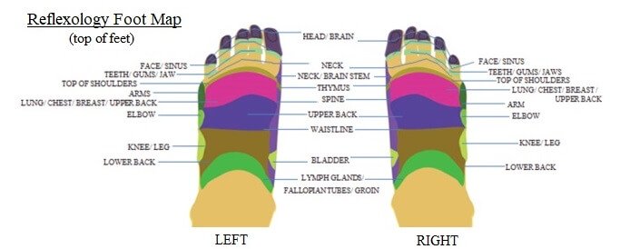 Reflexology Foot Chart